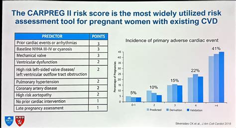 The Heart 🔴 Risk Stratification Tools And Counseling