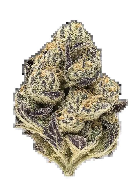 Black Maple Cannabis Strain Information Growdiaries