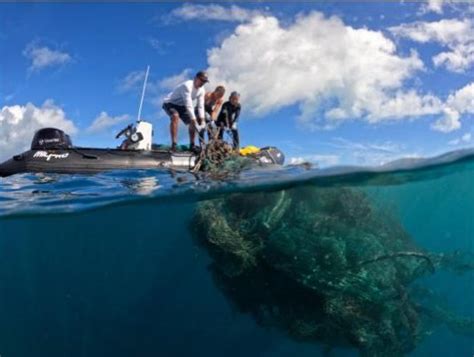 Aquatic Invasive Species 101224 Efforts To Stop The Spread Of