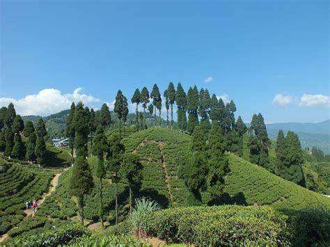 Darjeeling Tiger Hill Sunrise View Point