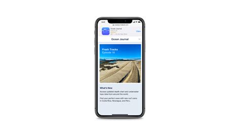 How To Set Up An IOS And Android Smart App Banner Branch