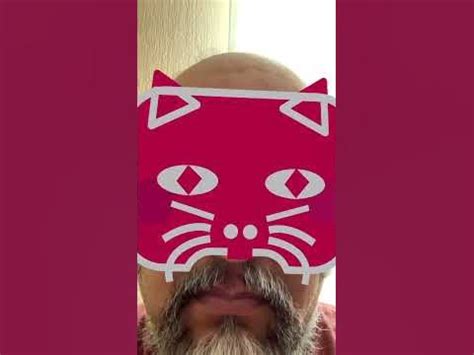 Filtro De Gato Youtube