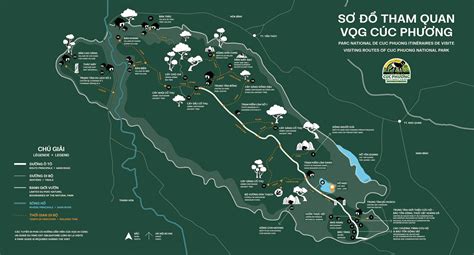 Cuc Phuong National Park Ninh Binh Travel Guide