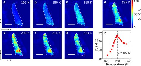 Quantum Imaging Of Spin Fluctuations In An Exfoliated Fgt Flake A Spin