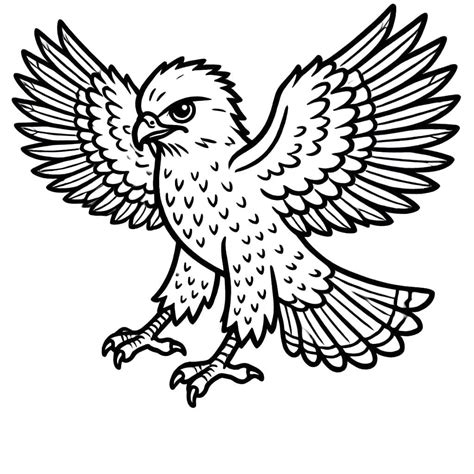 Dibujar Halcón Imprimible Para Niños Para Colorear Imprimir E Dibujar Coloringlib