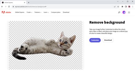 Use Adobe Express To Remove Background Step By Step
