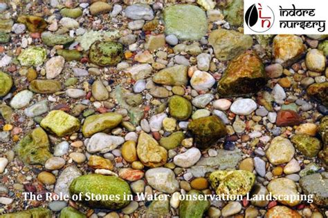 How Stones Help In Water Conservation Landscaping