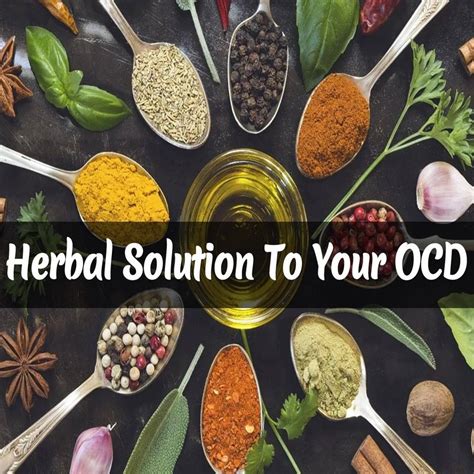 Ocd Healer Kit At ₹ 4800piece Ayurvedic Kit In Amritsar Id