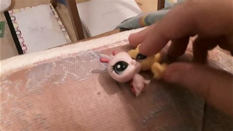 Kitten And Ladybug Having Sex Youtube