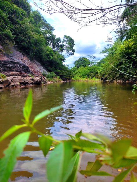 Tourism Río Cachirí Aguas Claras Municipio Mara 🍃🏞️ Peakd