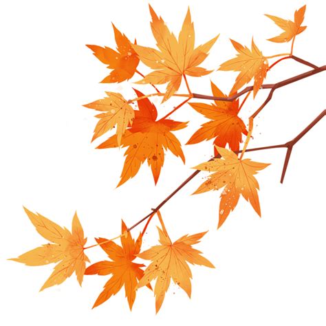 秋天树叶枫叶png