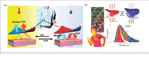 Figure 1 From Emerging Passive Thermoregulatory Textiles Through