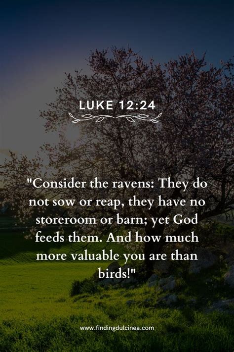 18 Luke Bible Verses That Unlock Powerful Life Lessons