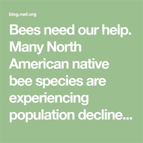 Bees Need Our Help Many North American Native Bee Species Are