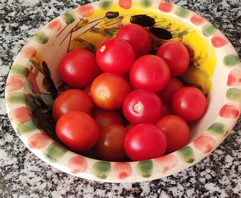 Look At All The Tiny Tomatoes Rvegetablegardening