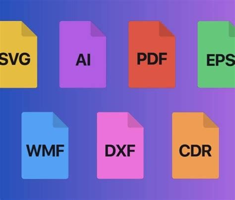 Vector File Formats A Comprehensive Guide Retouching Labs