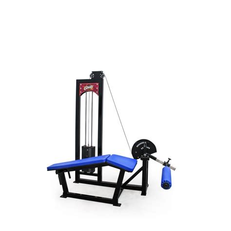 Lying Hamstring Curl Machine