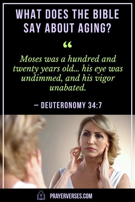 Top Bible Verses About Aging Old Age And The Elderly Prayer Verses