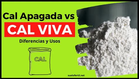 Cal Viva Vs Cal Apagada Elige Bien Para Mejorar Tu Cultivo