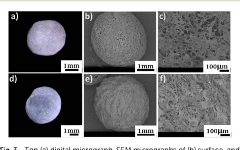 Figure 3 From In Situ Modified Nanocellulose Alginate Hydrogel