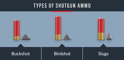Different Types Of Shotgun Ammo