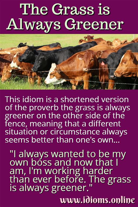 Grass Is Always Greener The Idioms Online