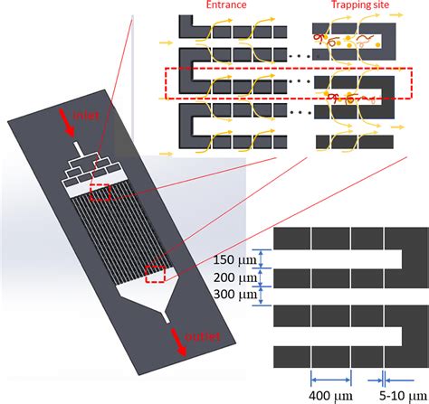 frontiers application of a novel rectangular filtering microfluidic