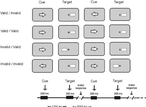 paradigm for experiment 2 the different types of sequence trials