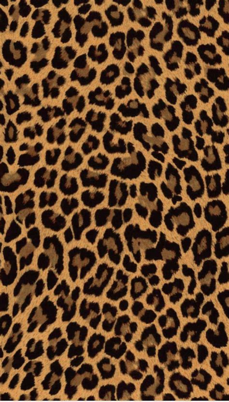 Leopard Print Wallpaper Artofit