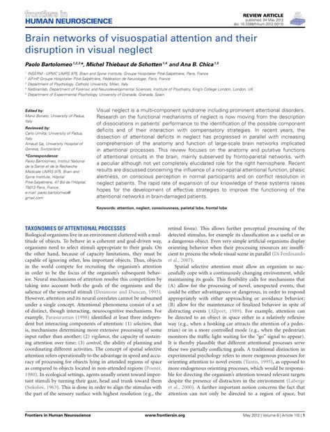 Pdf Brain Networks Of Visuospatial Attention And Their Disruption In