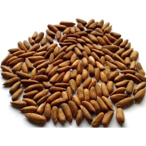 Fresh Roasted Black Chilghoza Pine Nuts Available In 1kg And 500g Best Prices In Pakistan