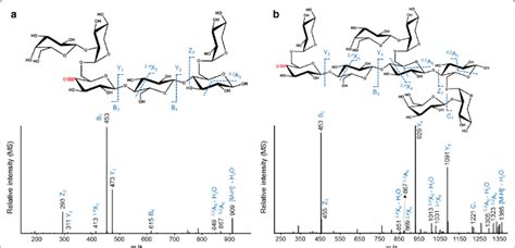 Negative Ion Mode Cid Ms Ms Fragmentation Patterns Of C4 Oxidized Download Scientific Diagram
