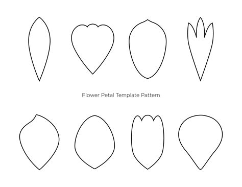 Lily Flower Template Printable Best Flower Site