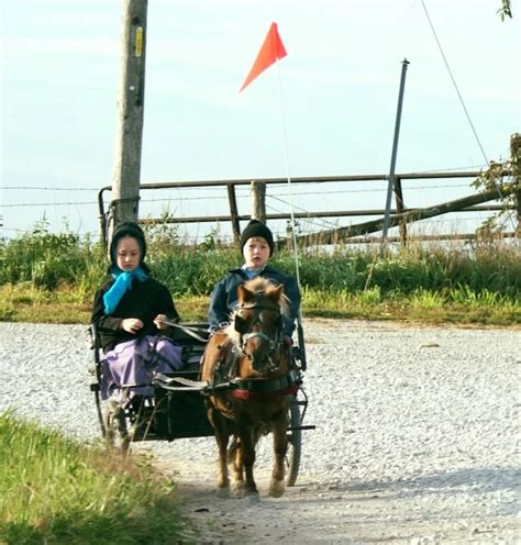 The Amish Were Fined 118000 For Refusing Vaccinations In Their Schools Now Theyre Appealing