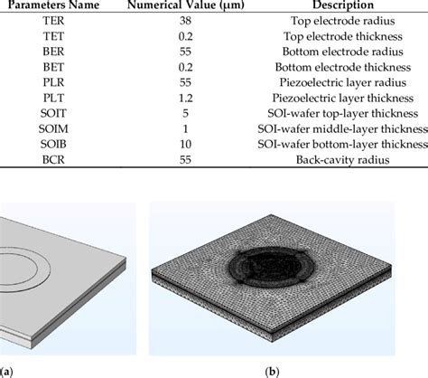 the geometric parameters of the pmut model download scientific diagram