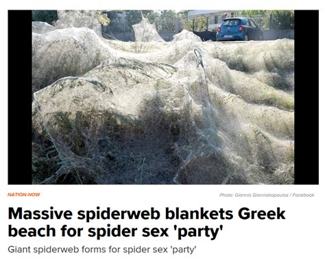 European Spider Beach Sex Party R Spiders