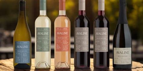 5 Best Organic Wine Brands Certified Pesticide Free 2026