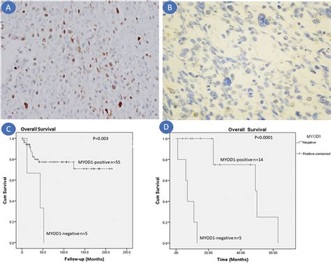 Myod1 As A Prognostic Indicator In Rhabdomyosarcoma Pmc