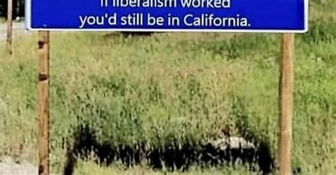 Wisdom Album On Imgur