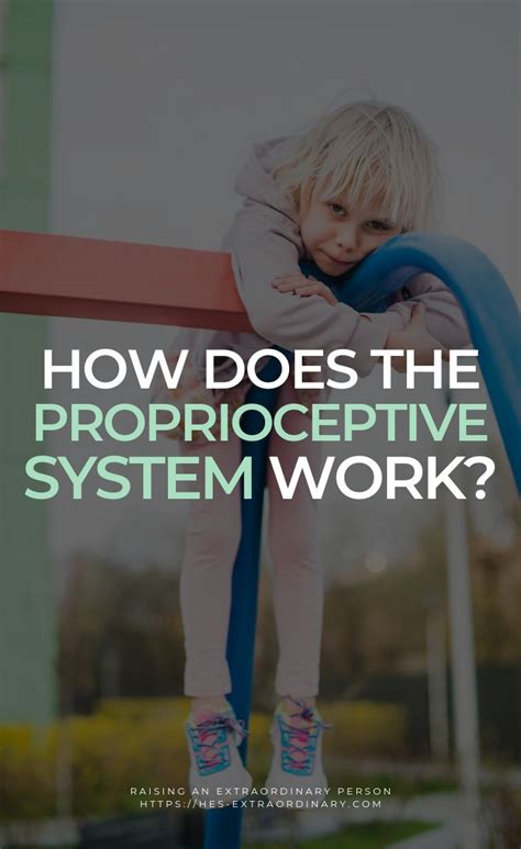 How Does The Proprioceptive System Work Sensory Processing