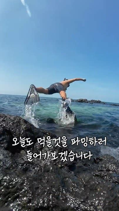 자급자족 식량 구하기 Youtube