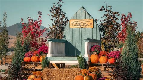 Id Emmett Halloween At Three Sisters Greenhouse Plants Pumpkins