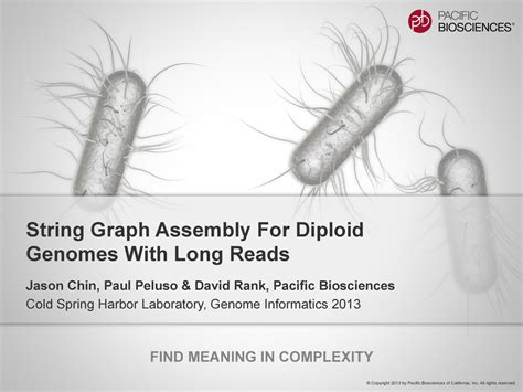 String Graph Assembly For Diploid Genomes With Long Reads Speaker Deck