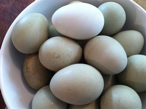 How To Roast An Egg For Passover