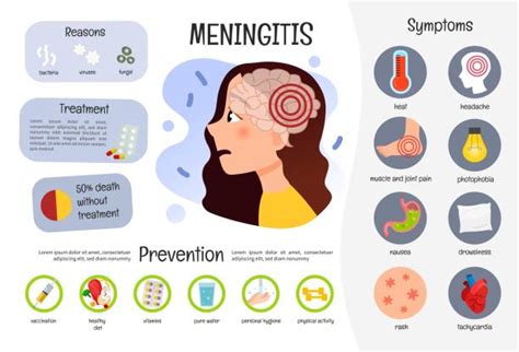 830 Meningitis Stock Illustrations Royalty Free Vector Graphics