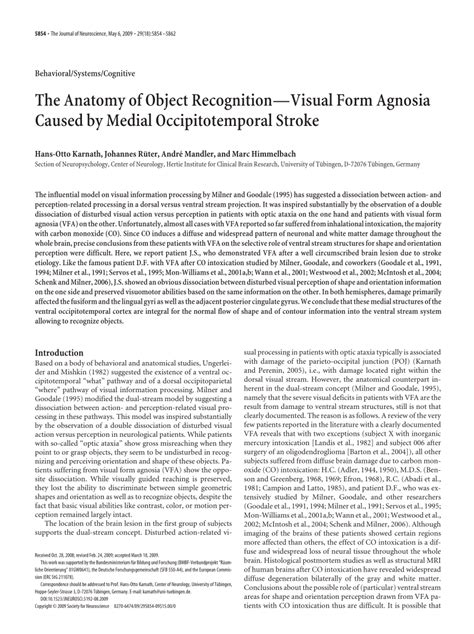 Pdf The Anatomy Of Object Recognition Visual Form Agnosia Caused By