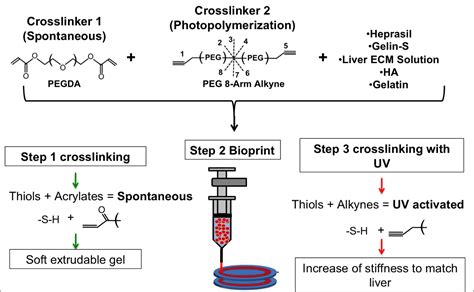 Video Bioprinting Cellularized Constructs Using A Tissue Specific