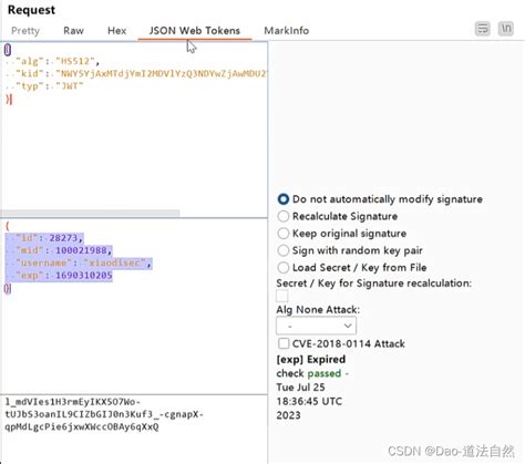Day69：web攻防 Java安全andjwt攻防andswagger自动化and算法and签名and密匙anddruid泄漏druid敏感信息泄露 Csdn博客