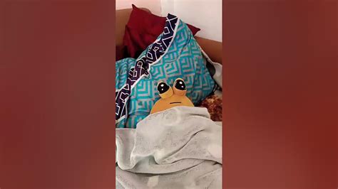 Chipance🦧🦧🦧🦧🦧🦧🦧🦧🦧🦧 Youtube