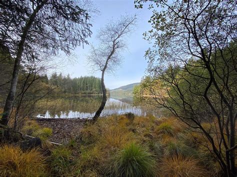 Jill Shaddock Jill Shaddock Added A New Photo